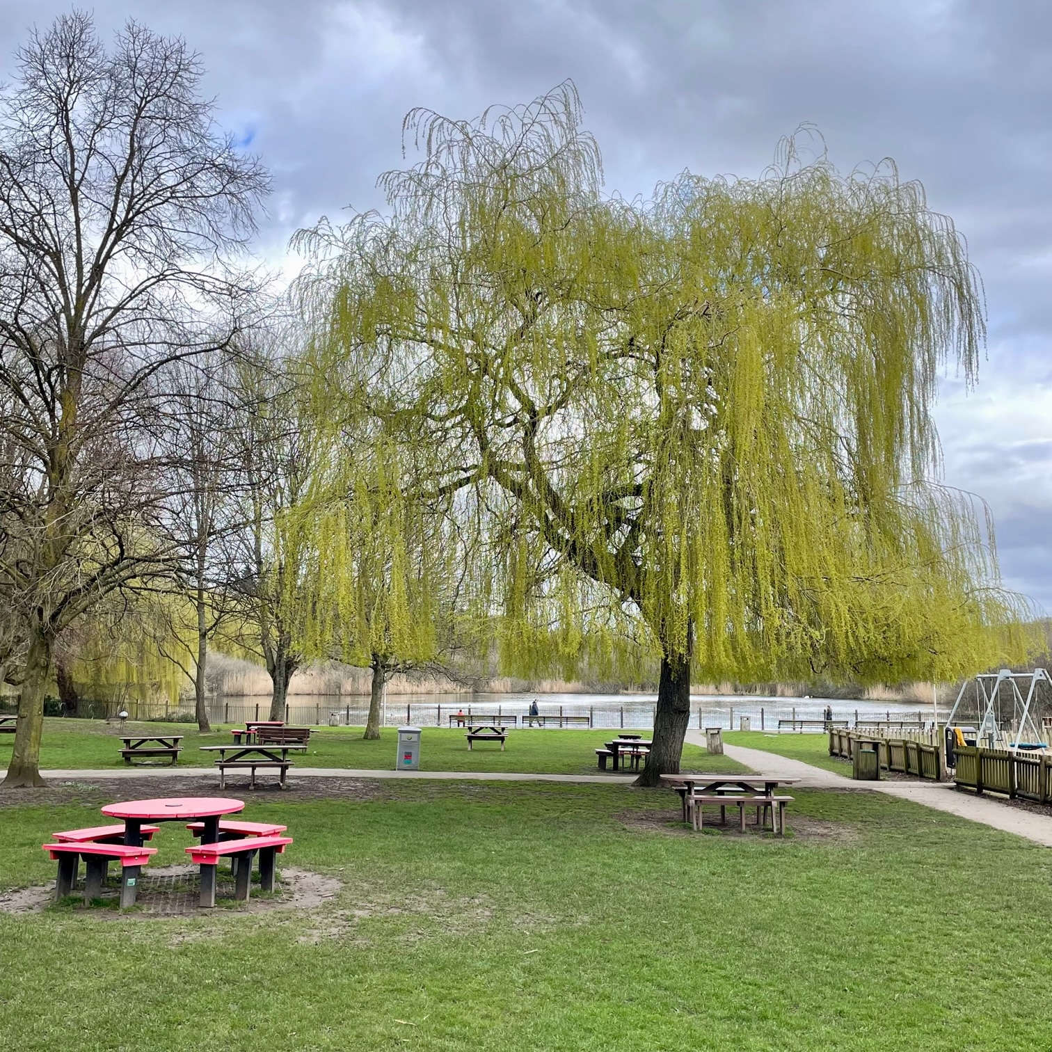 Things to do in Knutsford - Scene in Knutsford